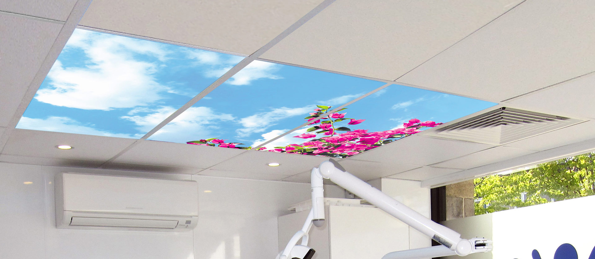 Products – Welcome to Repacorp